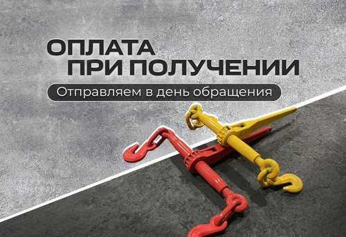 Талреп цепной