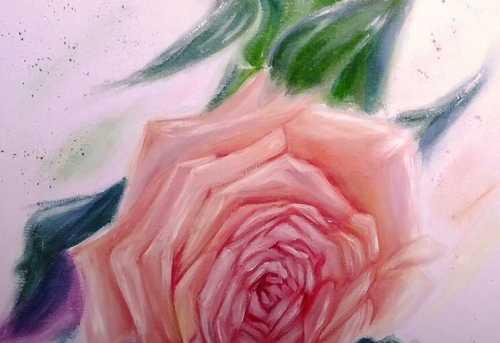 Картина маслом "Чайная роза"
