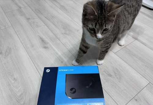 Steam Link