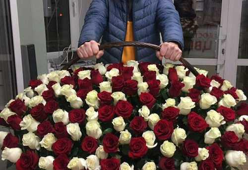 Корзина красных и белых роз 201 шт