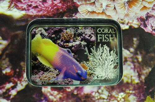 Ниуэ доллар 2013 Тропические коралловые рыбы Ag925
