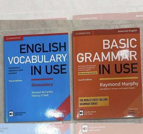 Basic grammar IN USE Raymond Murphy