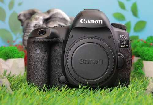 Canon EOS 5D Mark IV Body ID230