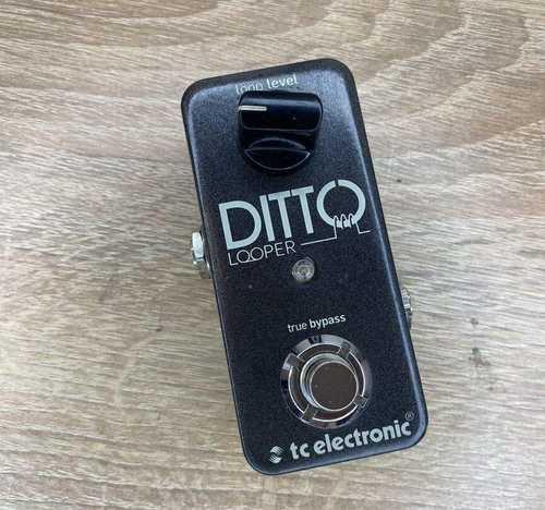 Ditto Looper tc electronic