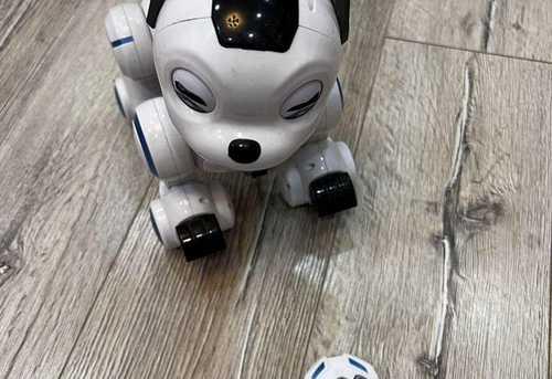Робот собака Новый дружок
