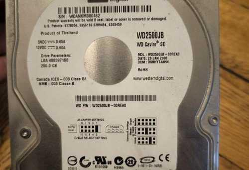 Жесткий диск Western digital WD2500JB 250GB