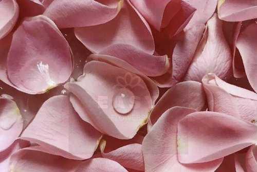 Лепестки роз лепестки с доставкой Лепестки Розы кр