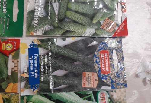 Рассада огурцы,кабачки,тыквы