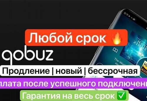 Qobuz studio premier подписка