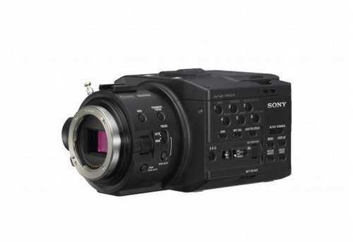 Видеокамера Sony NEX-FS100E Body
