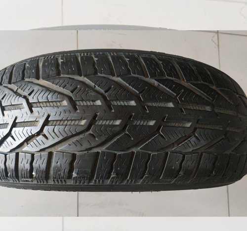 Tigar Winter 205/55 R16 94H