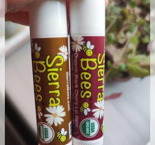 Гигиеническая помада sierra bees IHerb