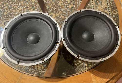 Blam 165 RSQ