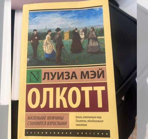 Книга Маленькие мужчины становятся взрослыми