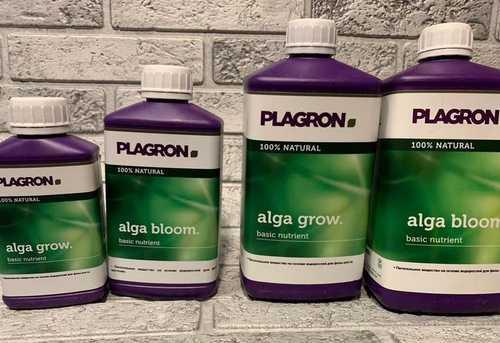 Plagron Alga Grow Bloom