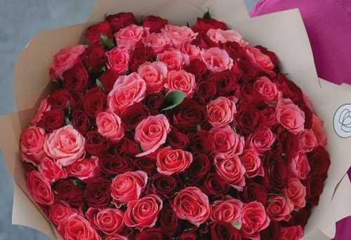Букет из 101 красной и коралловой розы 40 см (Кени