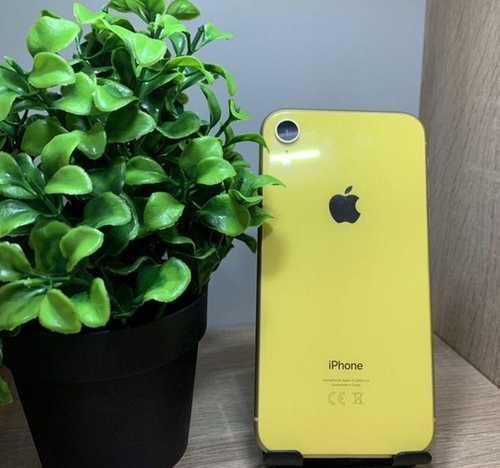 iPhone Xr, 128 ГБ