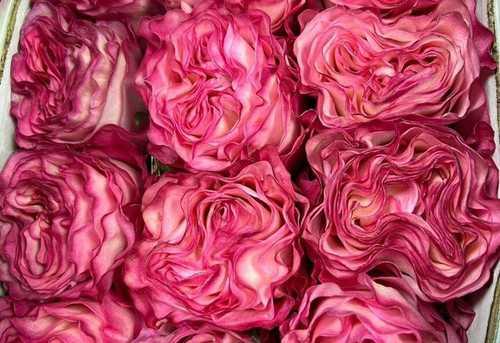 Розы Цветы Букеты с доставкой