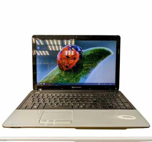 Ноутбук 15.6"Packard bell i3 3120M/6гб/SSD/710 1гб