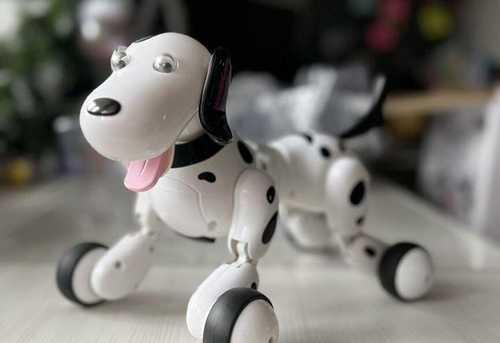 Радиоуправляемый робот-собака