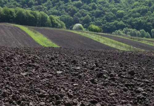 Чернозем.с.доставкой арт 4678