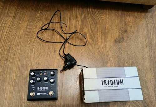 Strymon iridium