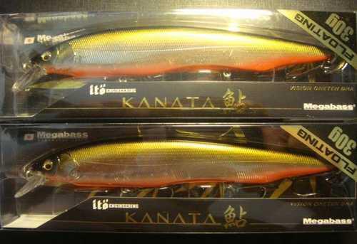 Megabass Kanata 160 F - # 12 - M RB Shad