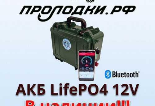 Аккумулятор FullZarad LifePO4 12В 100 а/ч для рыба