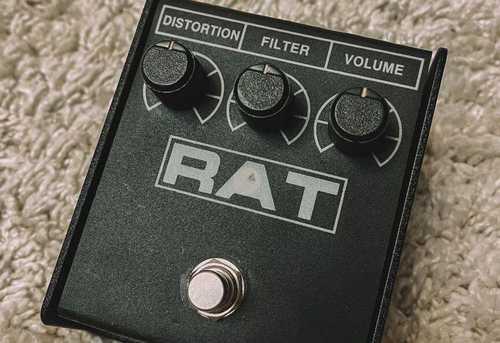 ProCo Rat2