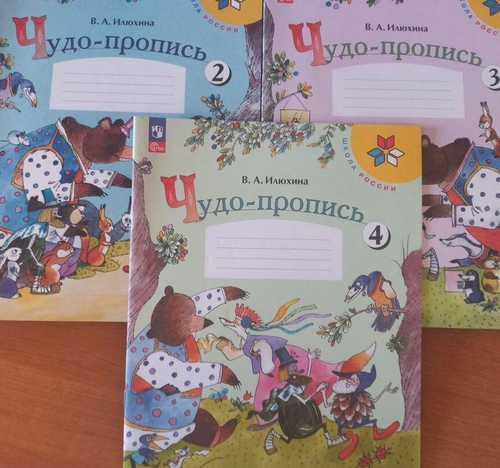 Чудо-пропись Илюхина В.А