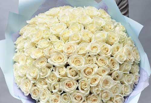 Букет из 101 белой розы 50 см (Россия)