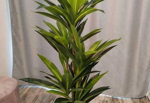 Искусственное растение Драцена лемон лайм 120 см
