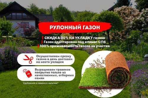 Рулонный газон Стандарт для участка