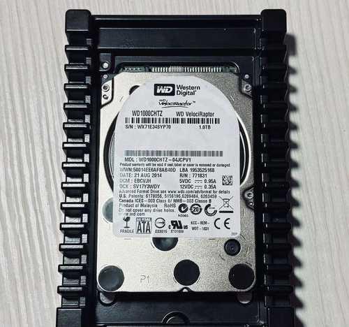 Western Digital VelociRaptor 1tb