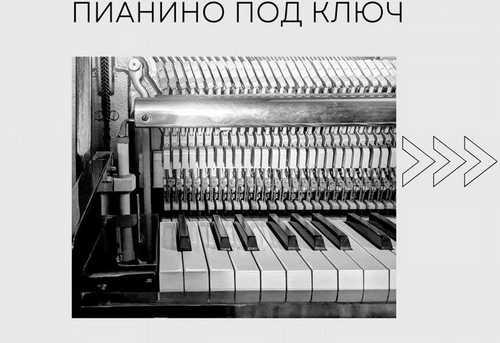 Пианино "Petrof" с услугами по одной цене