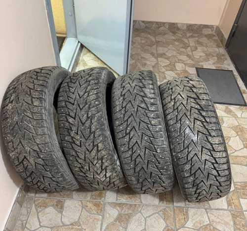 Nexen Winguard Spike WS62 23.5/55 R18 100T