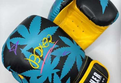 Боксерские перчатки 10 oz Another Boxer