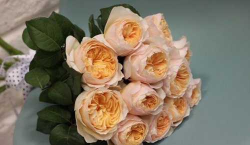 Букет из 9 пионовидных роз