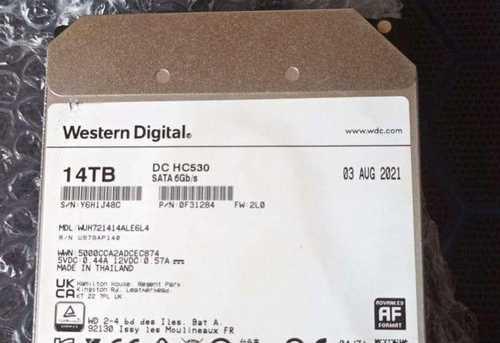 Hdd wd 14 tb