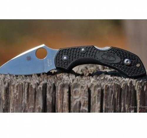 Нож складной spyderco Dragonfly 2 Black