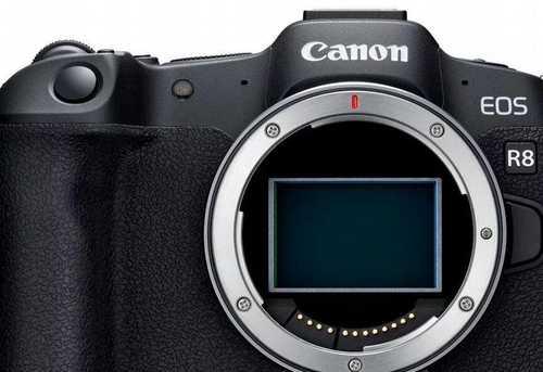 Canon EOS R8 Kit RF 24-105mm IS STM