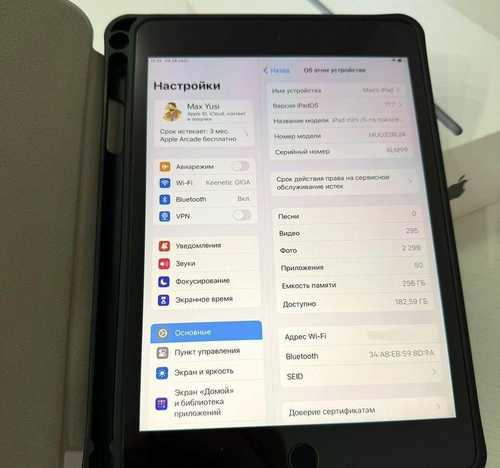 iPad mini 5 256 gb