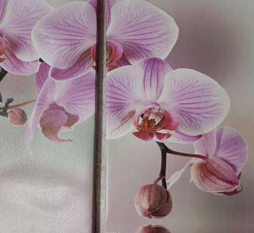 Интерьерная картина Орхидея