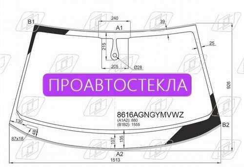 Лобовое стекло Audi A5