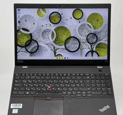 Бизнес ноутбук Lenovo ThinkPad T590 i5/16/512