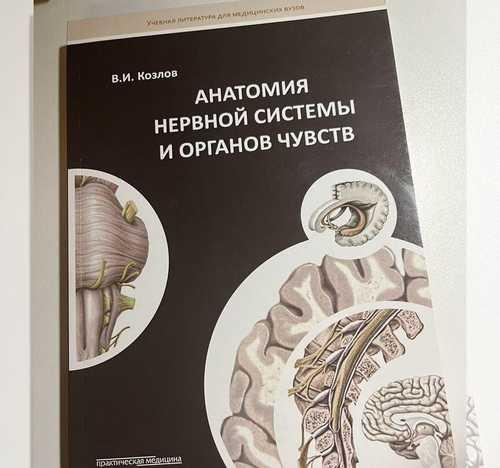 Анатомия нервной системы и органов чувств