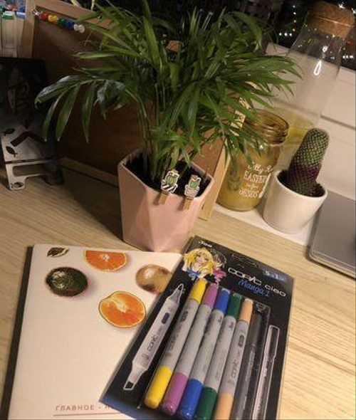 Маркеры Copic Ciao