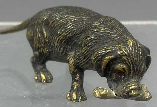 Статуэтка Собака с костью Венская бронза 1 тр 20 в