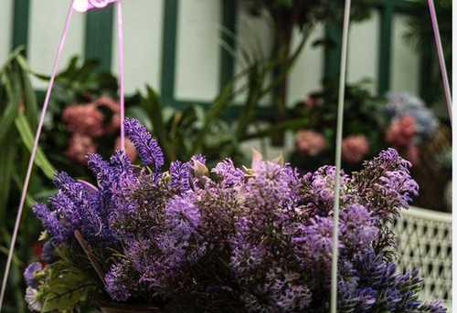 Подставка для подсветки цветов и рассады