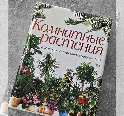 Книга Комнатные растения